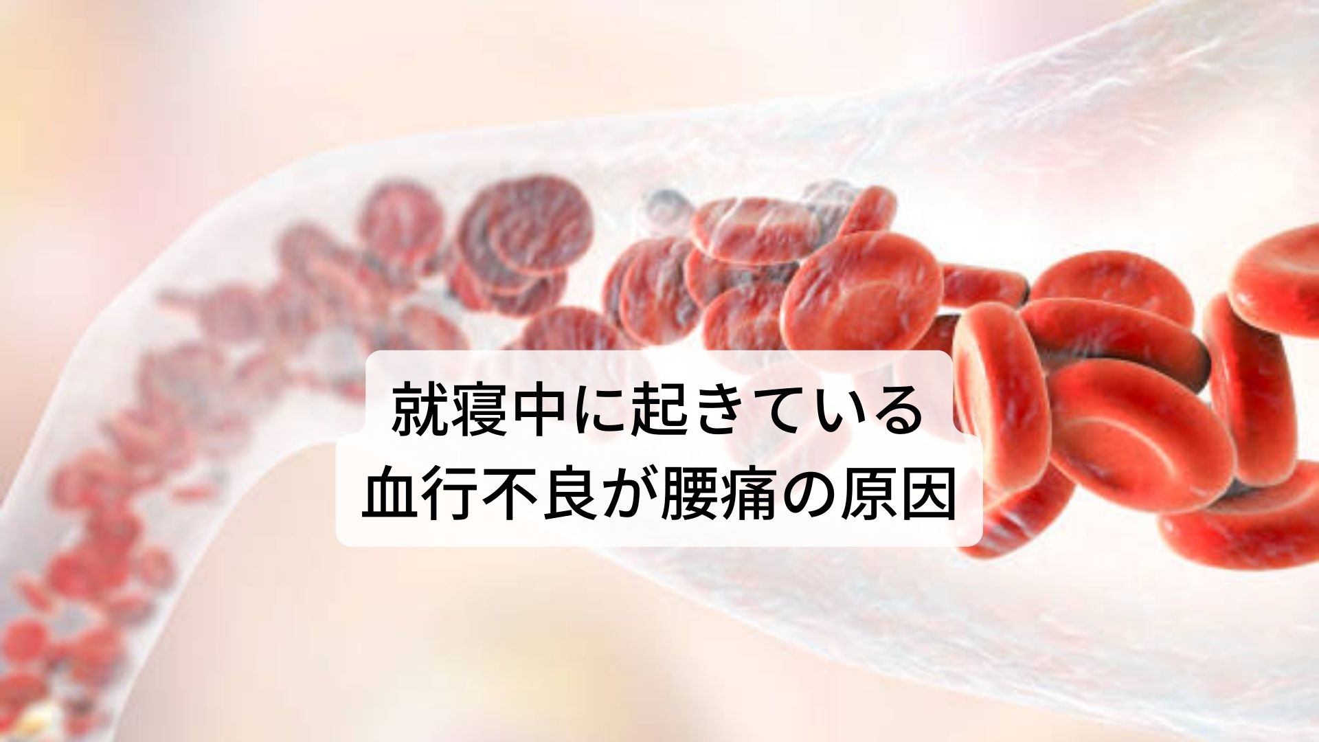 eq10-2023-05-19T112122.382｜三鷹の自律神経専門 鍼灸院 コモラボ【公式】